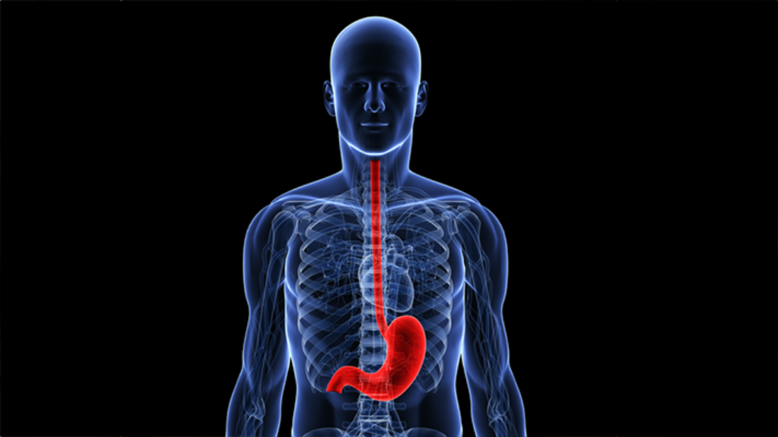 REFLUX - Naqshbandi Sufi Dallas